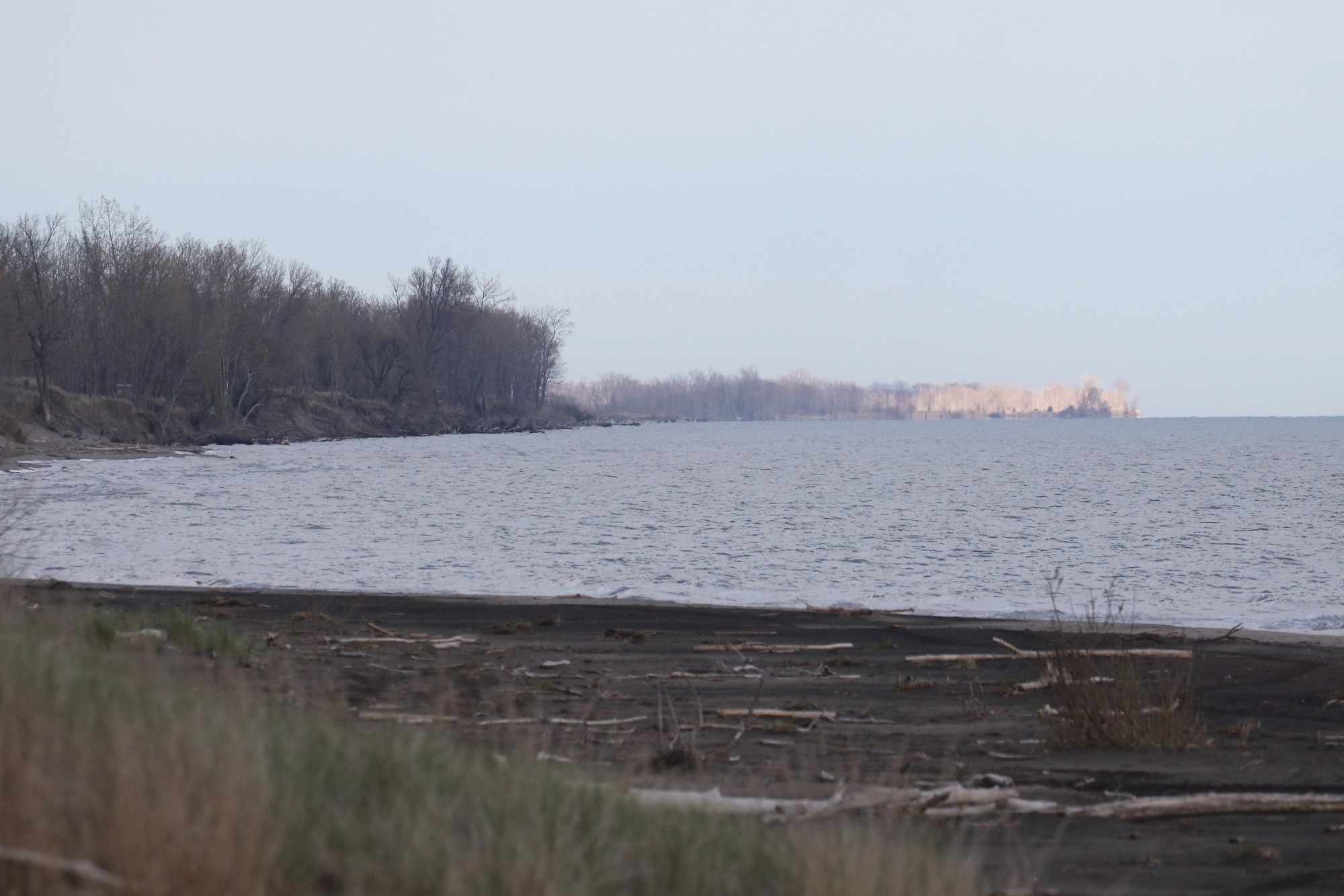 Spring at Long Point, Ontario. Part 4- …and the rest – PERDIX BIRDER